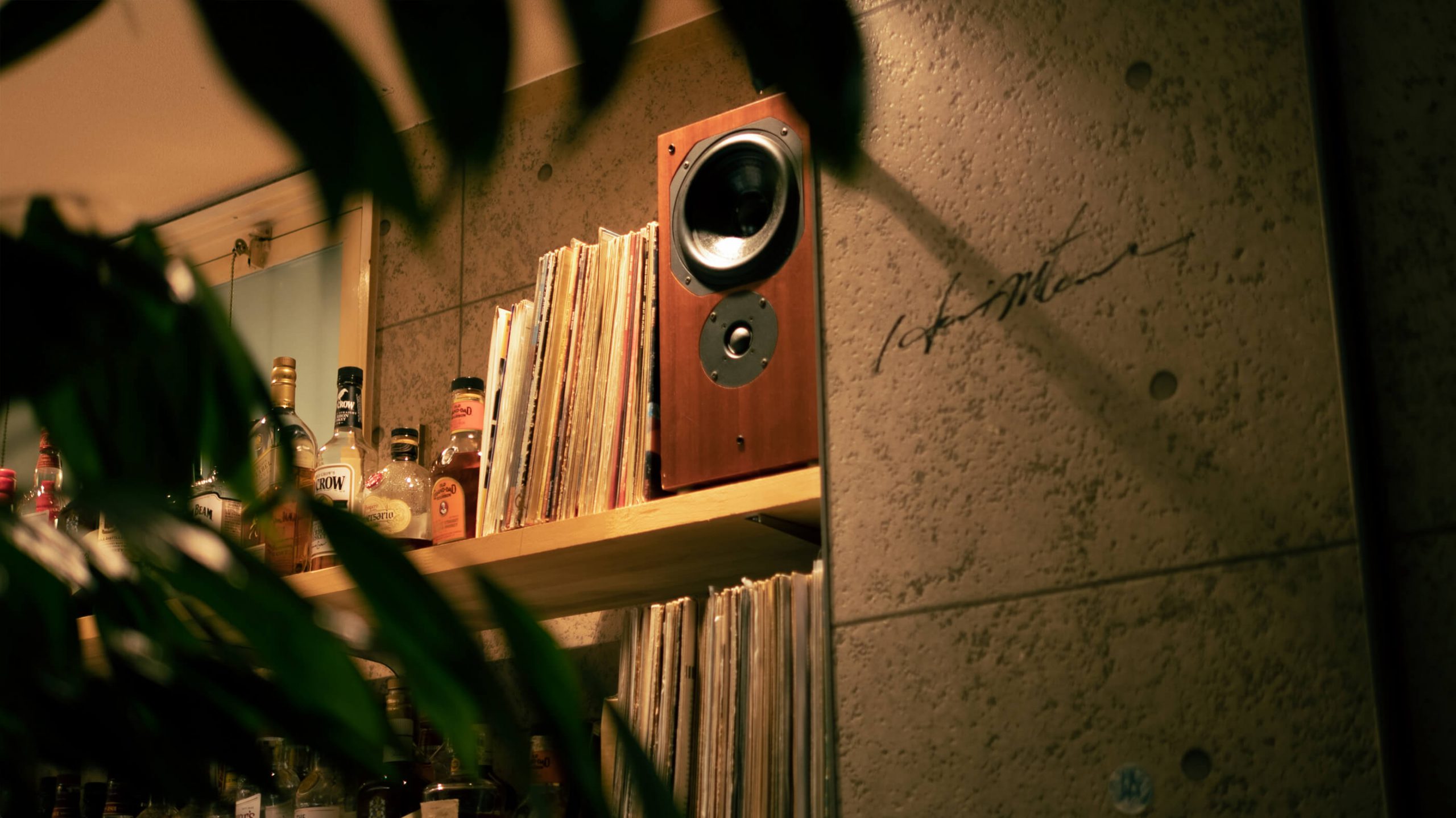 CONTACT | Left Alone